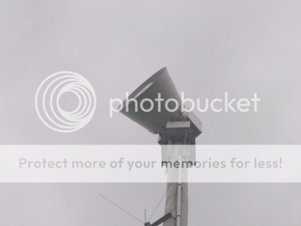 Today's Mini Siren Hunt - The Siren Board