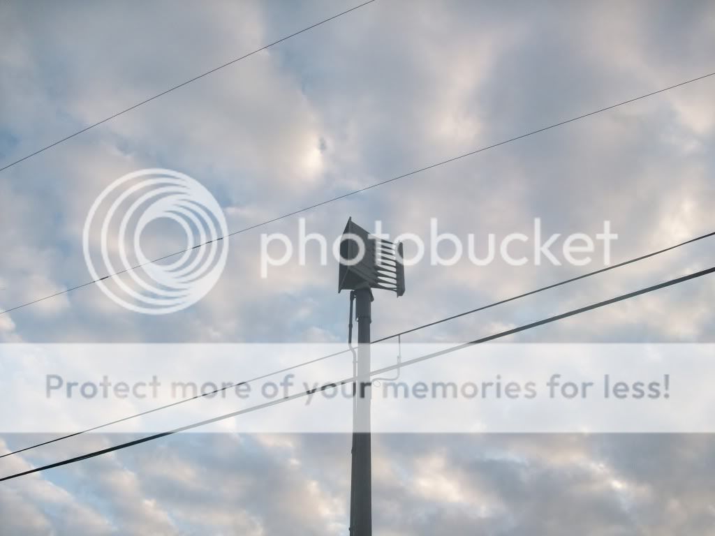 Today's Mini Siren Hunt - The Siren Board