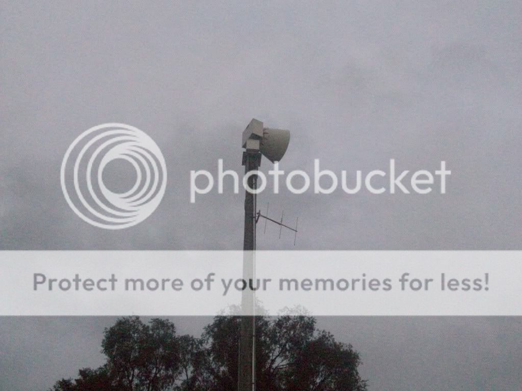 Today's Mini Siren Hunt - The Siren Board